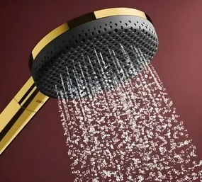 Hansgrohe Sprchová hlavice leštěný vzhled zlata / Sprchová hlavice / 3