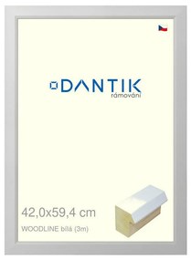 DANTIK rámeček 42x59,4 | WOODLINE bílá (Plexi Čiré)