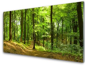 Obraz na skle Les Příroda 120x60cm