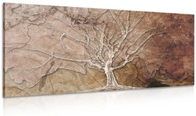 Obraz koruna stromu Varianta: 100x50
