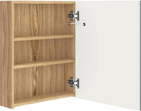 LED koupelnová skříňka se zrcadlem bílá a dub 50 x 14 x 60 cm 326485