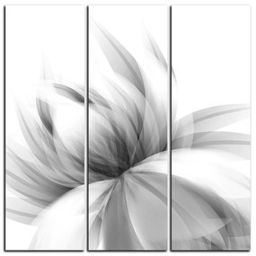 Obraz na plátně - Elegantní květ - čtverec 3147QB (105x105 cm)