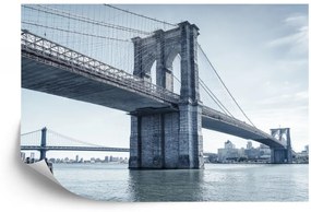 Fototapeta Brooklyn Bridge Ny Strukturální vinyl 360x240