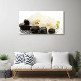 Obraz na plátně Květ Kameny Umění 100x50 cm