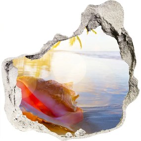Wallmuralia Nálepka fototapeta 3D výhled Mušle na pláži 75x75 cm