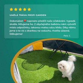 Europe Grass, Umělá tráva Profi Garden, na míru, šíře 4m, zelená