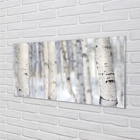 Obraz na skle Stromy v zimě sníh 125x50 cm