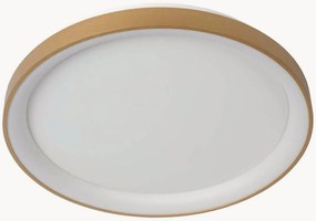 Stmívatelné stropní LED svítidlo Vidal