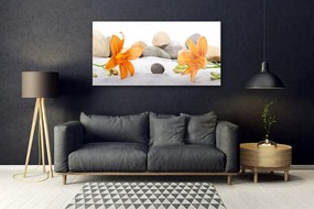 Plexisklo-obraz Lilie Kameny Příroda 120x60 cm