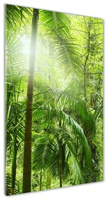 Wallmuralia Vertikální Foto obraz sklo tvrzené Deštný prales 50x100