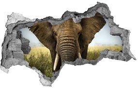 Wallmuralia Díra 3D fototapeta na stěnu Sloni na savaně 95x73 cm