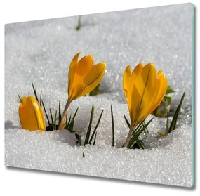 Skleněná krájecí deska Crocusové ve sněhu 60x52 cm