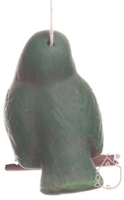 Zelený ptáček Vlastík