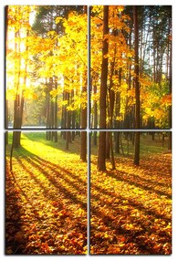 Obraz na plátně - Podzimní les - obdélník 7176E (90x60 cm)