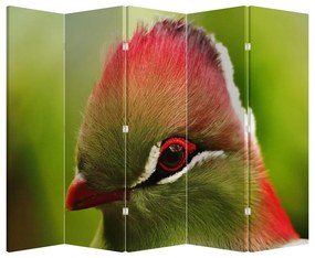 Paraván - Barevný pták (210x170 cm)