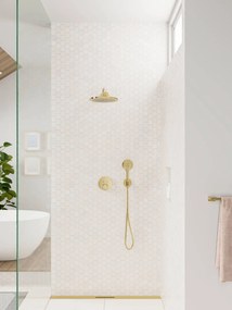 Hansgrohe Raindance Select S, ruční sprcha 120 3jet, leštěný vzhled zlata, HAN-26530990