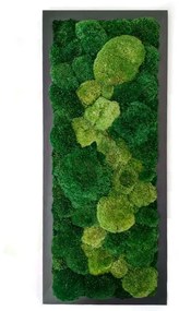 WOODILO Mechový obraz v  rámu z masivu 108 | kopečkový mech Rozměr obrazu: 100x100 cm, Barva rámu: Mahagon, Síla rámu (pohledová): 3,7 cm
