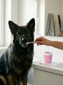 Sinsay - Sada na čištění pro psa a kočku - pastelová růžová