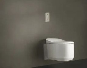Grohe Arena Cosmopolitan S - Ovládací tlačítko splachování chrom