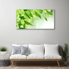 Obraz na plátně Zelené Listy Příroda 125x50 cm