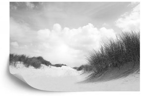 Fototapeta Sandy Days In Black &amp;amp; White Hladký vinyl 208x146