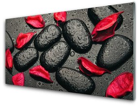 akrylový obraz Plátky Kameny Umění 125x50 cm