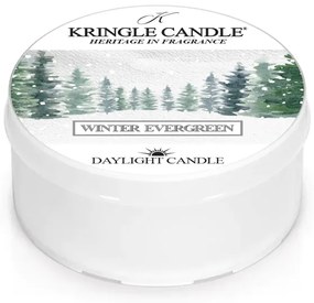Kringle Candle Vonná Svíčka Winter Evergreen, 35 g