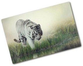 Wallmuralia Kuchyňská deska skleněná Bílý tygr 80x52 cm