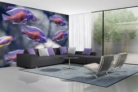 DIMEX | Samolepicí vliesová fototapeta na zeď Malé rybky MA-5-0518 | 375 x 250 cm | fialová, žlutá, šedá