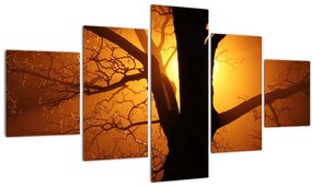 Obraz stromu v západu slunce (125x70 cm)