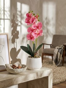 Sinsay - Decorative plant in a pot - pastelová růžová