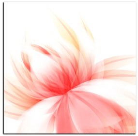 Obraz na plátně - Elegantní květ - čtverec 3147A (50x50 cm)