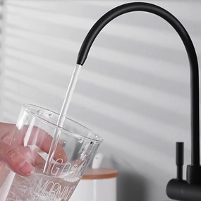 Kuchyňská baterie Rea Eco Fresh černá