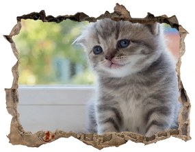Wallmuralia Díra 3D fototapeta na stěnu Malá kočka u okna 95x64 cm