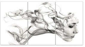 Malvis ® Obraz něžná dívka z kouře Velikost: třídílný obdélník - 90x60 cm