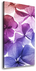 Wallmuralia Vertikální Foto obraz na plátně Fialové květiny 50x100