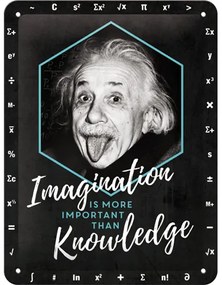 Postershop Plechová cedule: Einstein (Imagination & Knowledge) - 20x15 cm