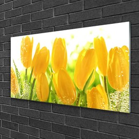 Obraz na skle Tulipány Květiny Rostlina 125x50 cm