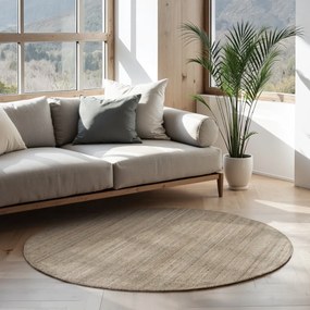 Hanse Home, Kusový koberec Jaipur 105975 Grey/Brown kruh, 200x200 (průměr) kruh, béžová, chodba / předsíň