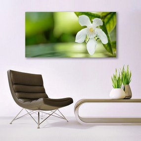 akrylový obraz Květ Listy 120x60 cm