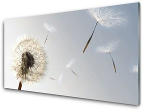 Obraz na skle Pampeliška Květiny Příroda 100x50 cm