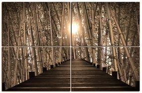 Obraz na plátně - Dřevěná promenáda v bambusovém lese 1172FE (120x80 cm)