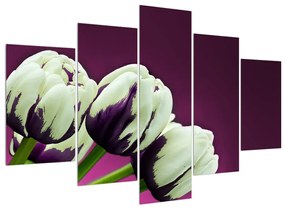 Obraz tulipánů  (150x105 cm)