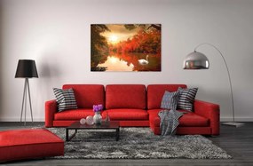 Malvis ® Obraz - Plující labuť Velikost: 150x100 cm