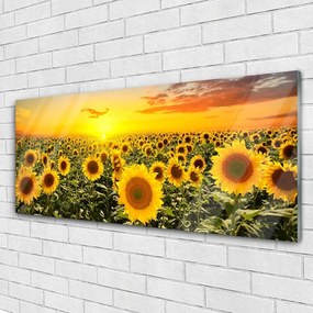 akrylový obraz Slunečnice 125x50 cm