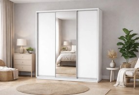 Skříň s posuvnými dveřmi 2500x2400x600 2LTD 1 zrcadlo nymphaea alba, profil stříbrný