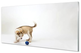 Obraz na skle Hrát s tím psem 120x60 cm