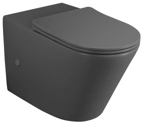 Sapho Sapho, PACO RIMLESS mísa pro kombi WC, spodní/zadní odpad, šedá mat, PC1012GR-111