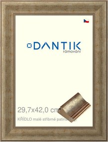 DANTIK rámeček 29,7x42 | KŘÍDLO malé stříbrné patina (Plexi Čiré)