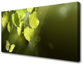 Obraz na plátně Listy Slunce Paprsky 125x50 cm